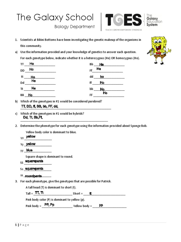 Phenotypes and Genotypes | PDF | Genotype | Zygosity