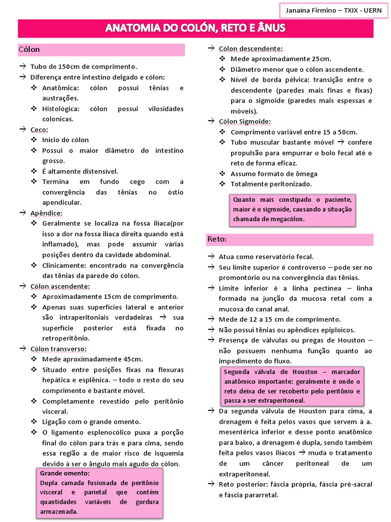 Anatomia Do Cólon, Reto e Ânus | PDF | Colonoscopia | Anatomia