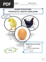Fabrication de La Provende Pour Poules Pondeuses Et Poulets de Chair | PDF | Poulet ...