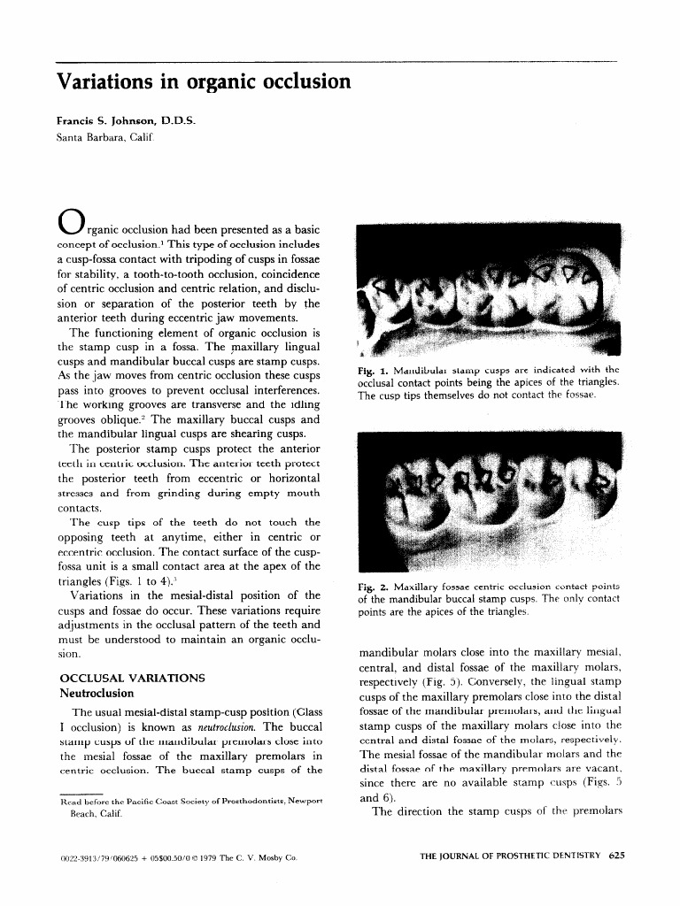 Occlusion | PDF | Dentistry Branches | Dental Anatomy