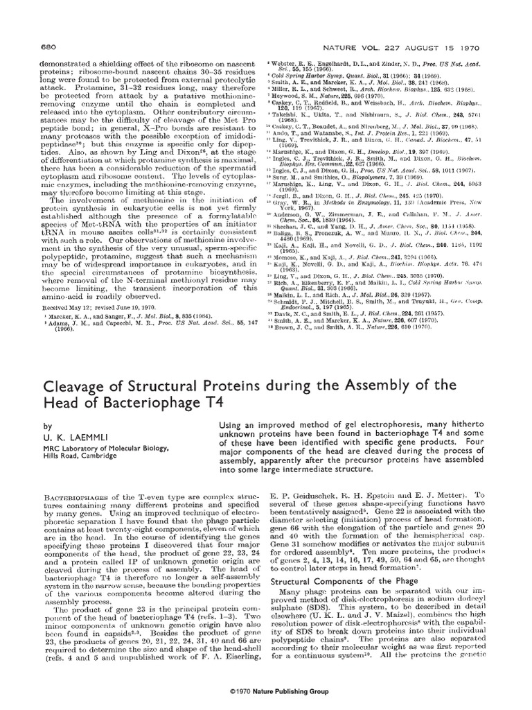 Laemmli's 1970 Study on T4 Protein Cleavage | PDF | Technology ...