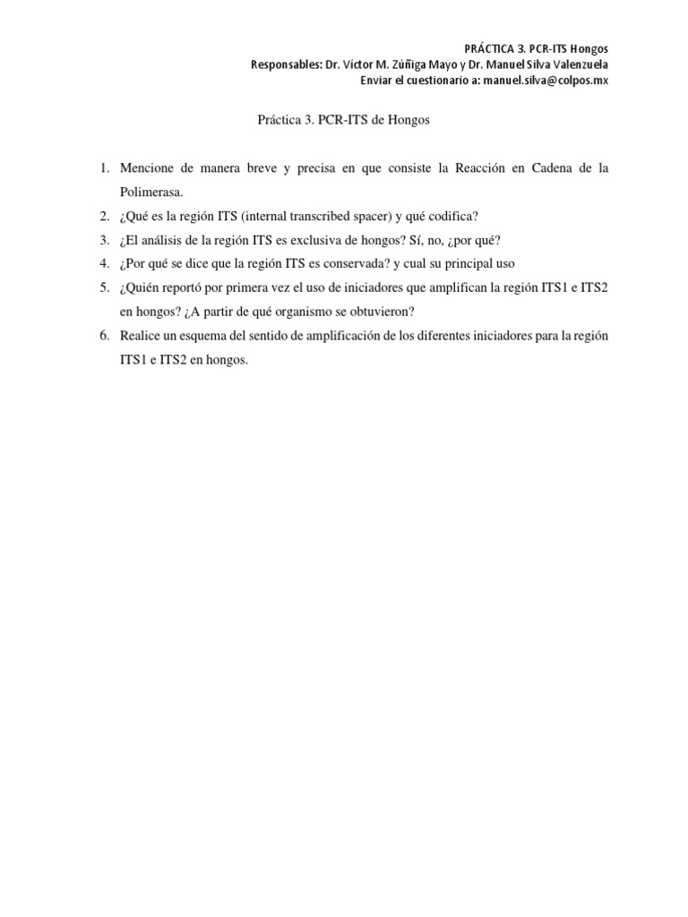 Cuestionario Práctica 3 ITS-PCR Hongos | PDF