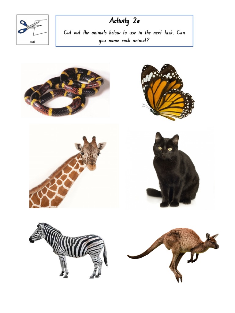 Pattern Vs Non-Patterns | PDF