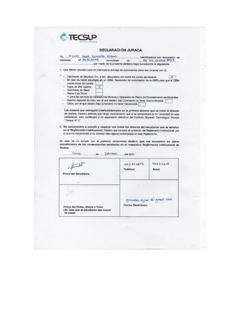 Gonzales Aldana Eyner Cesar | PDF