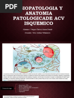 Fisiopatología Del Acv Isquémico | PDF | Carrera | Isquemia