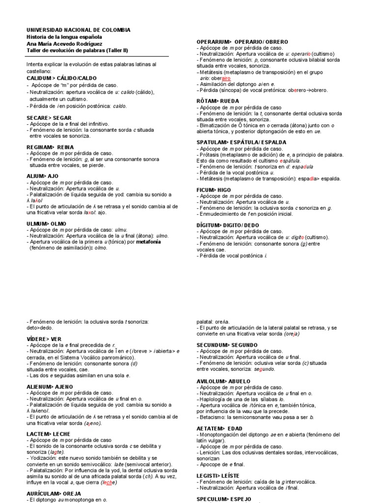 Evolución de Palabras | PDF | Fonética | Voz humana