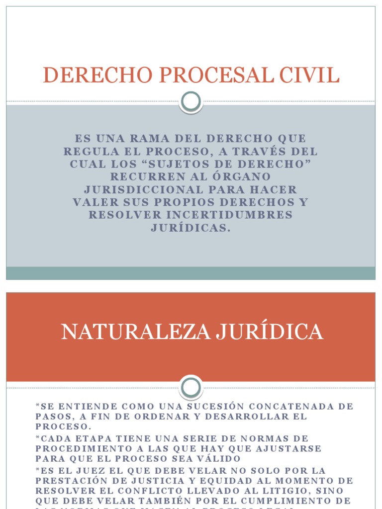 Derecho Procesal Civil | PDF