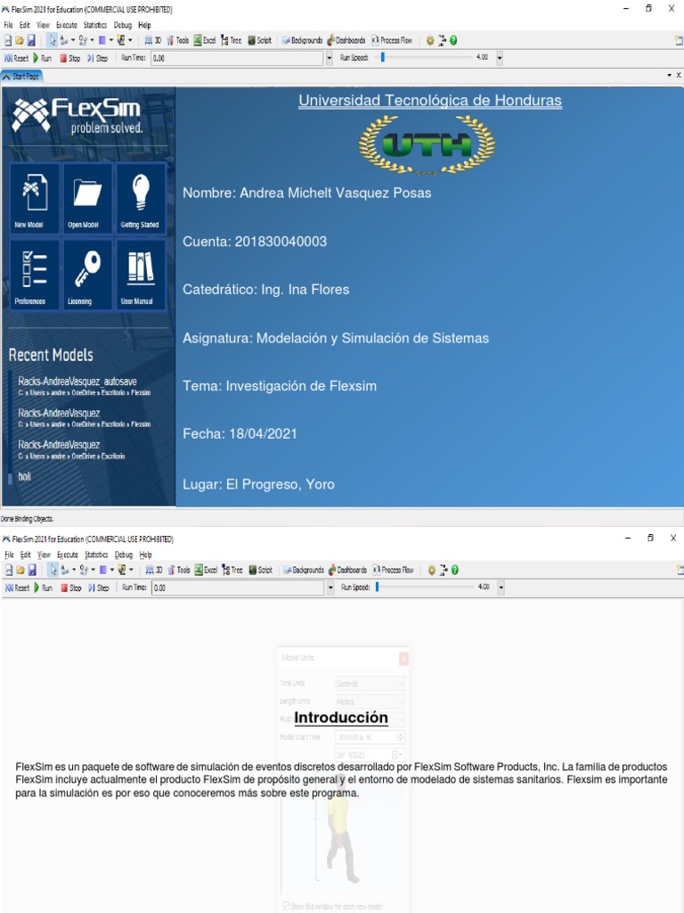 InformeFuncionesDe Flexsim | PDF | Informática | Informática y tecnología de la información