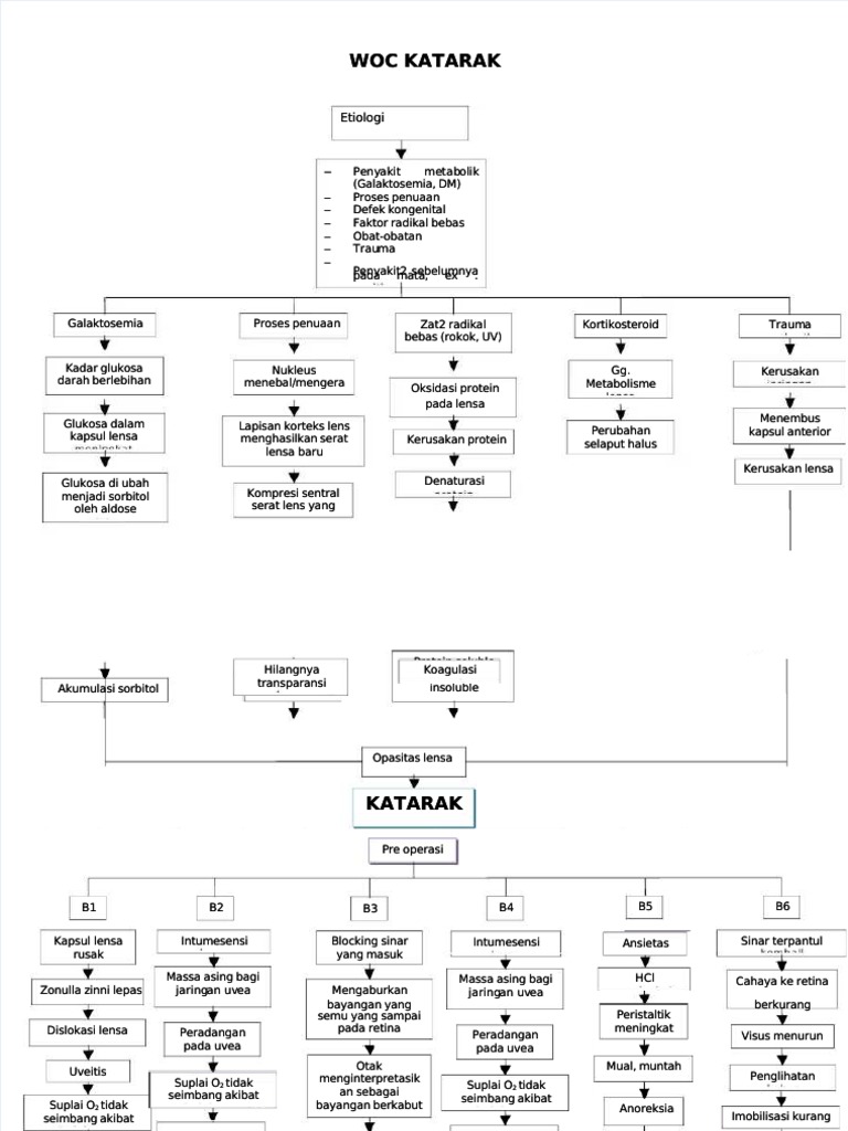 Pathway Katarak | PDF
