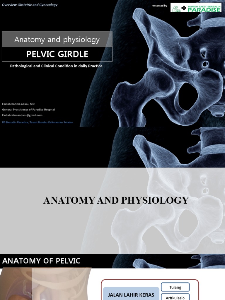 Anatomy and Physiology of Pelvic Girdle | PDF