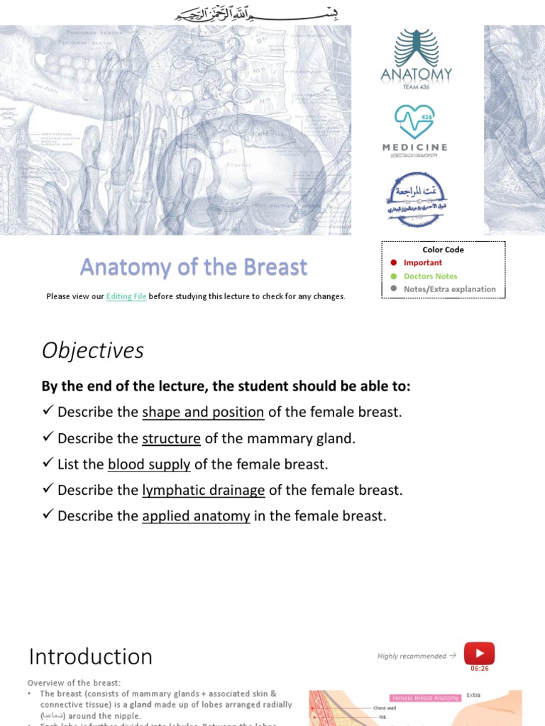 5 - Anatomy of The Breast | PDF | Lymphatic System | Nipple