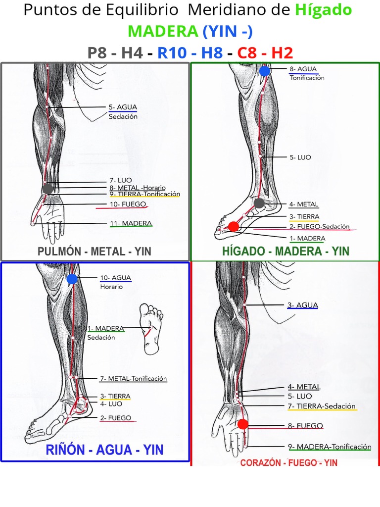Puntos de Equilibrio Meridiano de Corazon | PDF