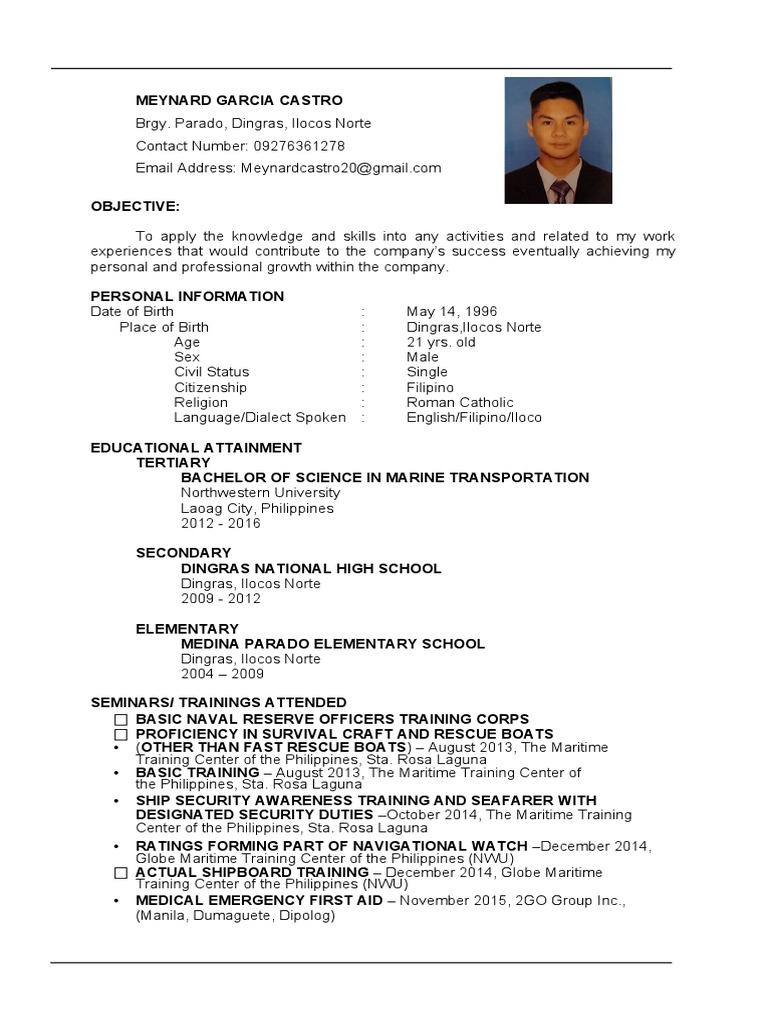 Meynard Castro's Professional Profile | PDF | Philippines | Transport