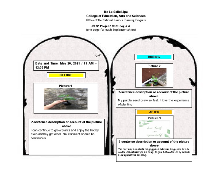 Module 5 - NSTP Project Octa-Log | PDF