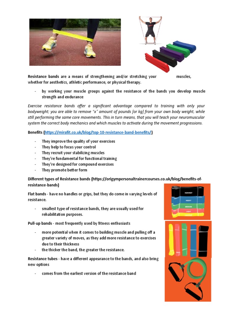 Pe Info | PDF | Anatomical Terms Of Motion | Hip