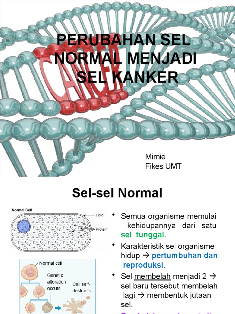 Transformasi Sel Normal ke Kanker | PDF