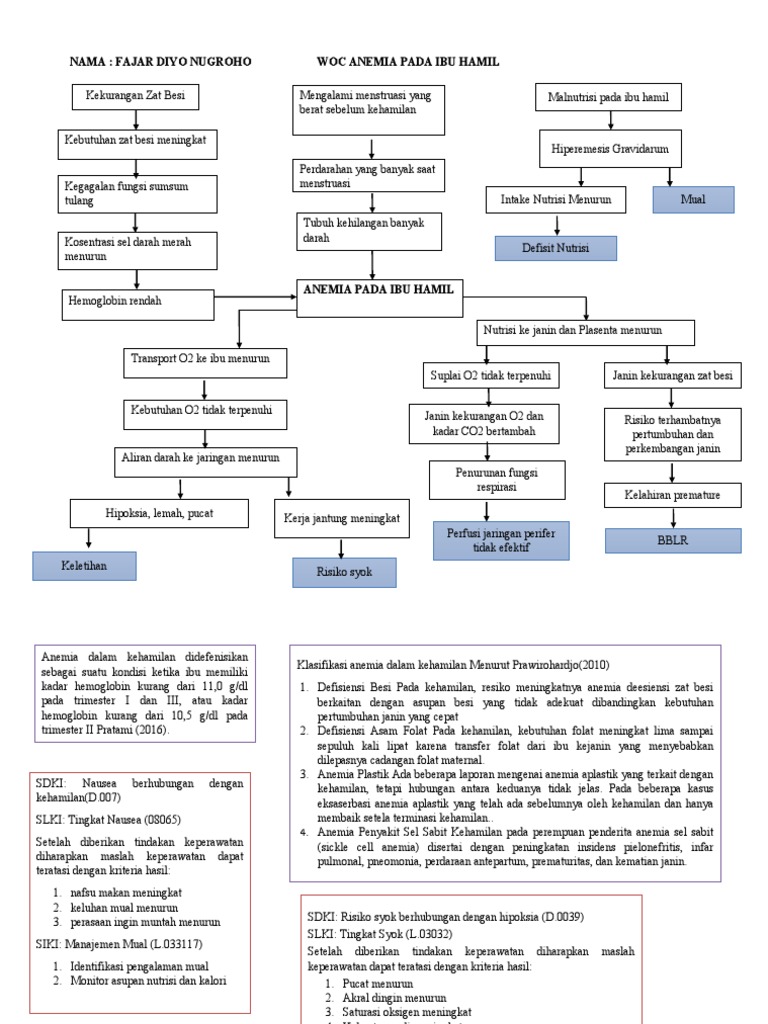 Woc Anemia Pada Kehamilan Diyo | PDF | Kesehatan Holistik