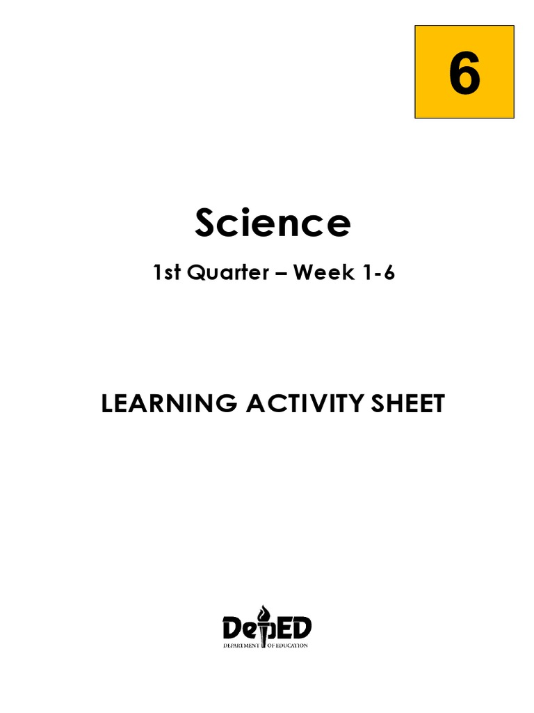 Science 6 Lesson Plan and Activity Sheet | PDF | Mixture | Solution
