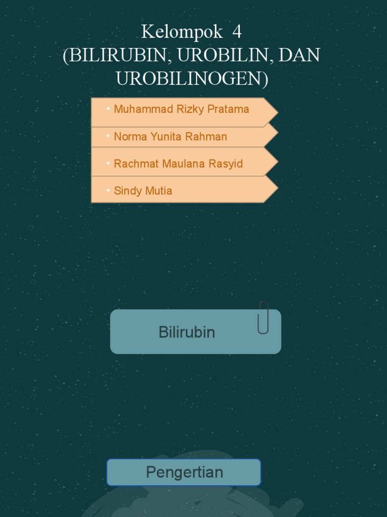 (Finish) Kel4 Bilirubin | PDF