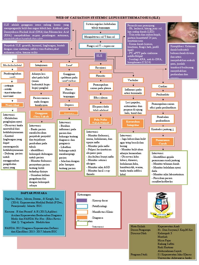 WOC SLE Kelompok 3 | PDF