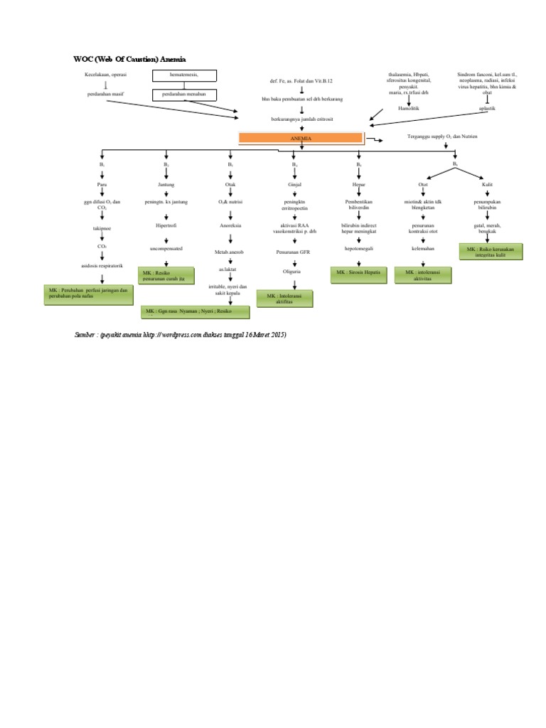 WOC Web of Caustion Anemia | PDF