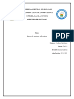 Narrativa Control Interno | PDF | Auditoría | Informática