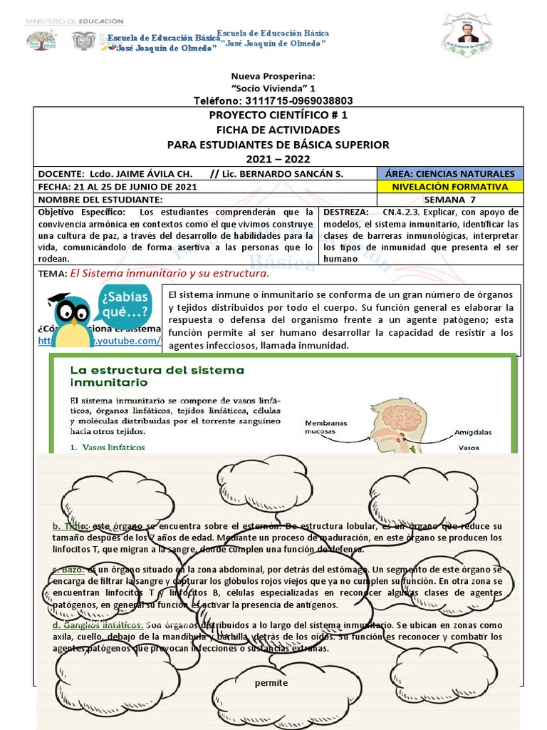 Proyecto Científico CCNN 2021 | PDF | Sistema inmune | Virus