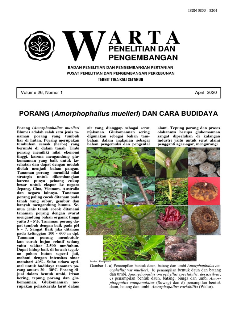 Warta Vol 26 No 1 April 20120 Web TGL 3 11 20 | PDF