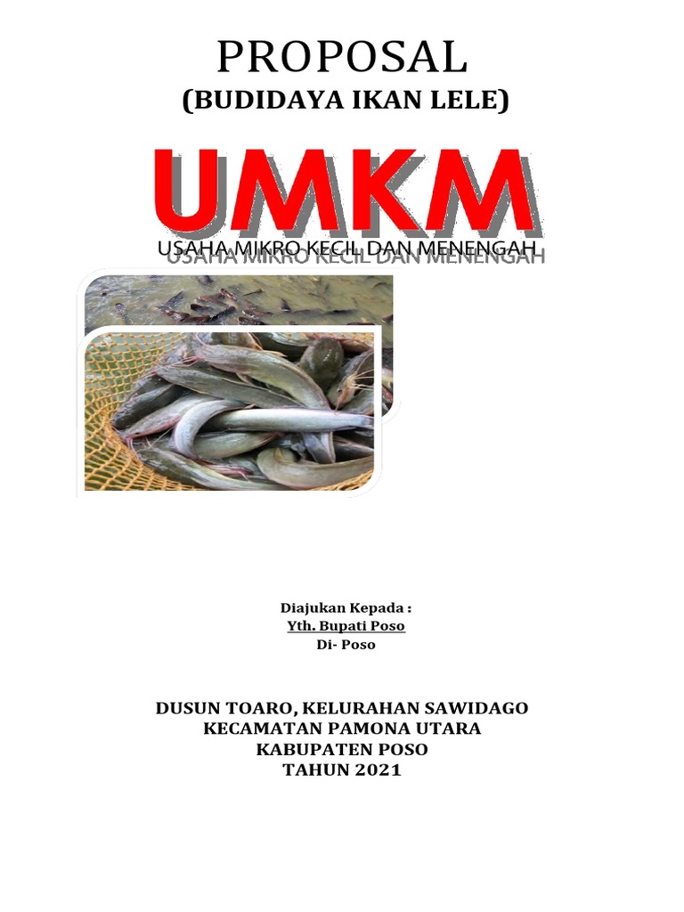 Proposal UMKM Budidaya Ikan Lele (Doris Ramenggila) | PDF
