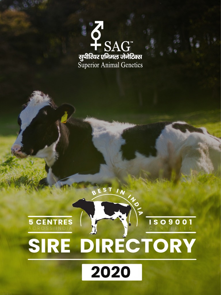 Premium Sire Directory 2020 | PDF | Dairy Cattle | Horse Breeding