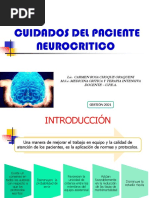 Protocolo GHOST-CAP para Neuroprotección | PDF