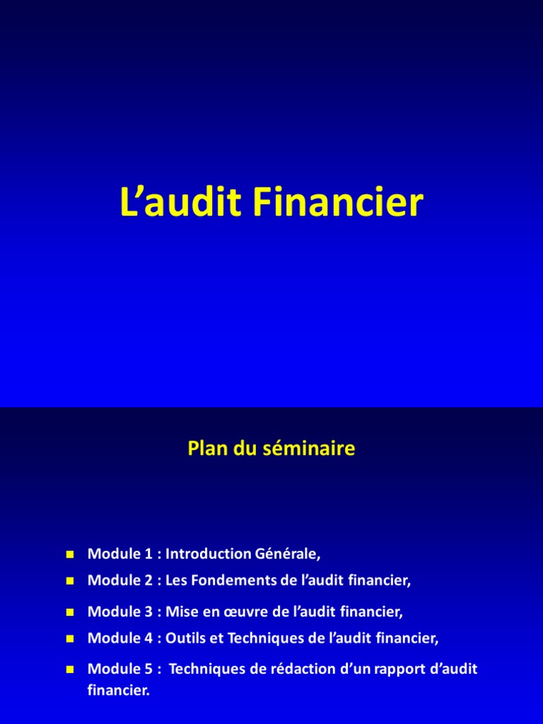 Audit Financier | PDF | Audit financier | Audit
