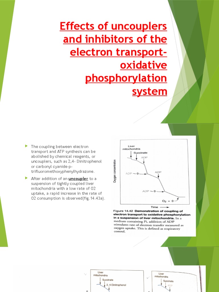 Effects of uncouplers and inhibitors on electron transport and ...