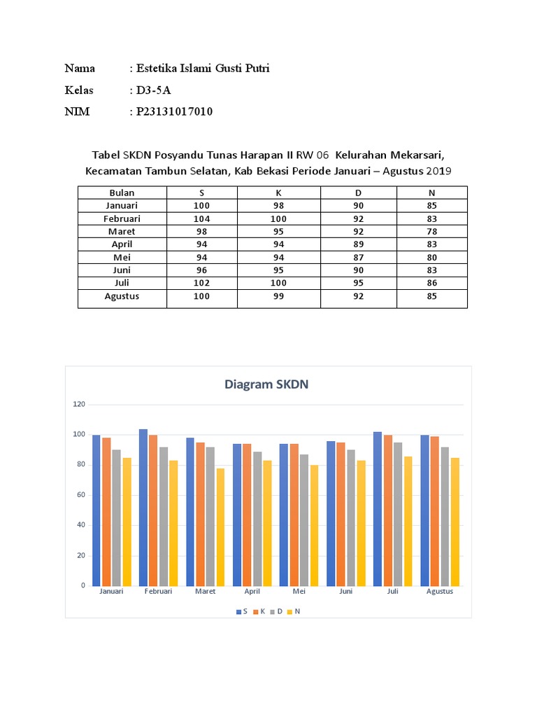 Data SKDN Di Posyandu | PDF