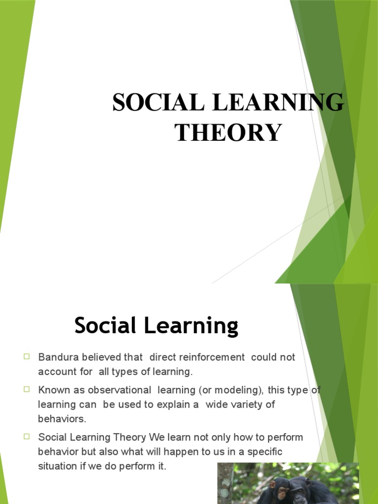 Understanding Social Learning Theory | PDF | Reinforcement ...