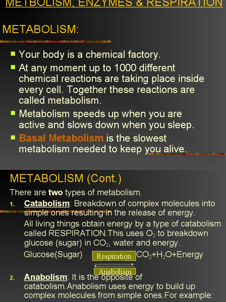 Lec-3-METBOLISM, ENZYMES, & RESPIRATION | PDF | Cellular Respiration ...