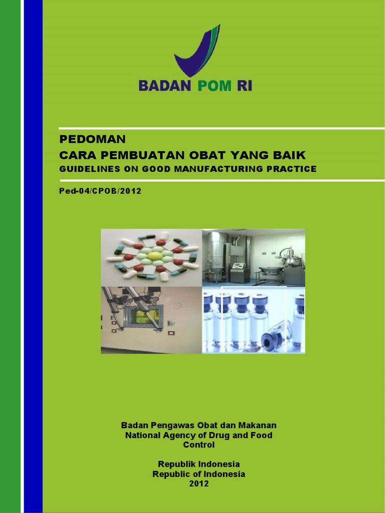 Buku Bpom Ri 2012 | PDF