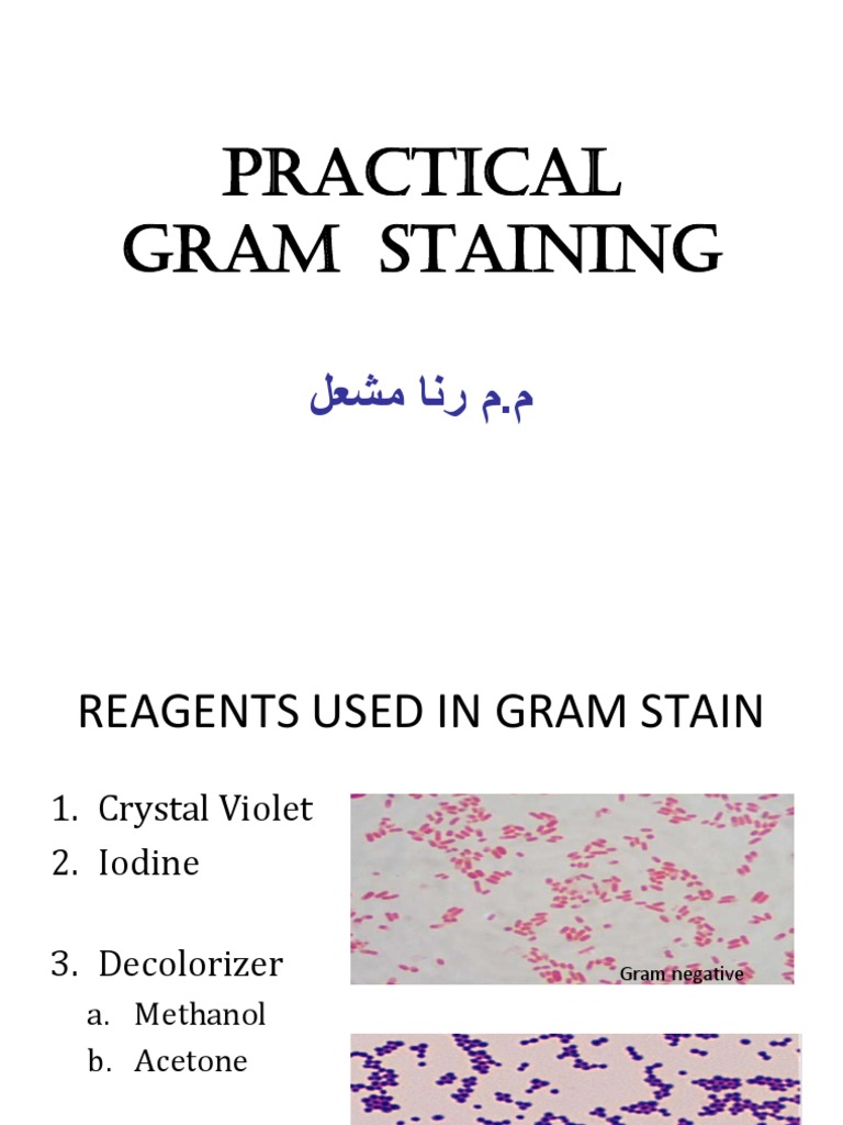 Gram Staining | PDF