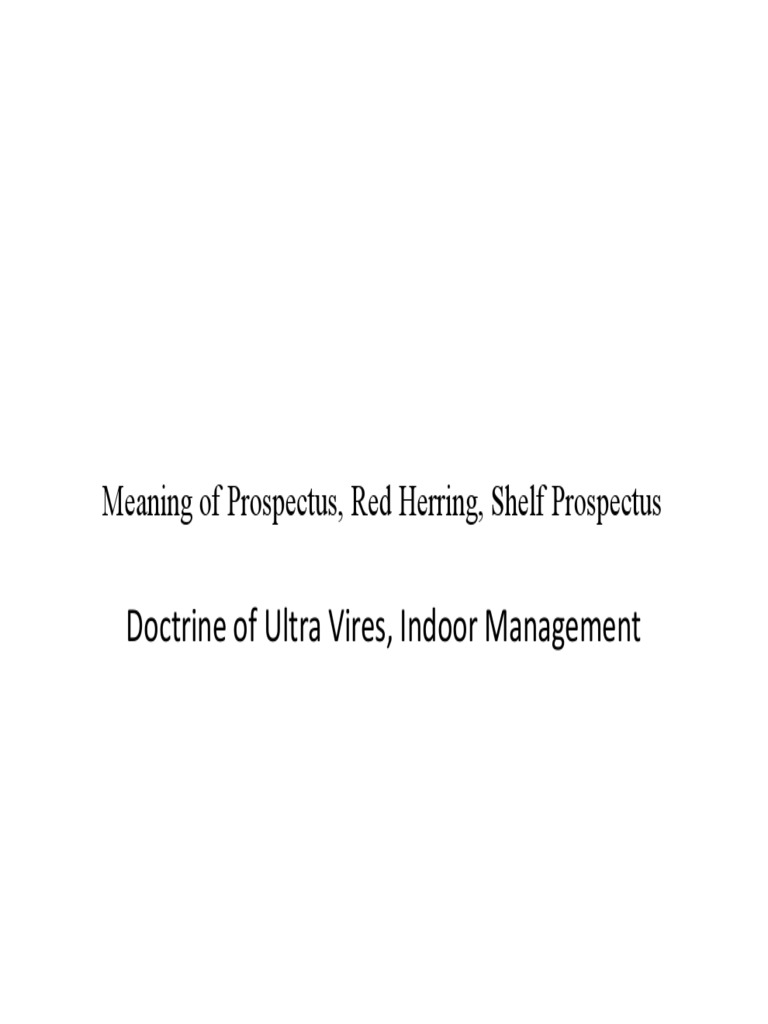 Red Herring Prospectus
