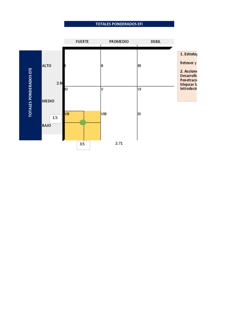 Matriz Interna y Externa | PDF