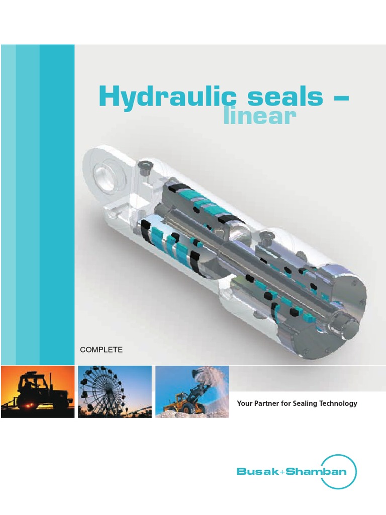 Catalogo Busak Hydraulic Complet | PDF | Wear | Electrical Resistance ...
