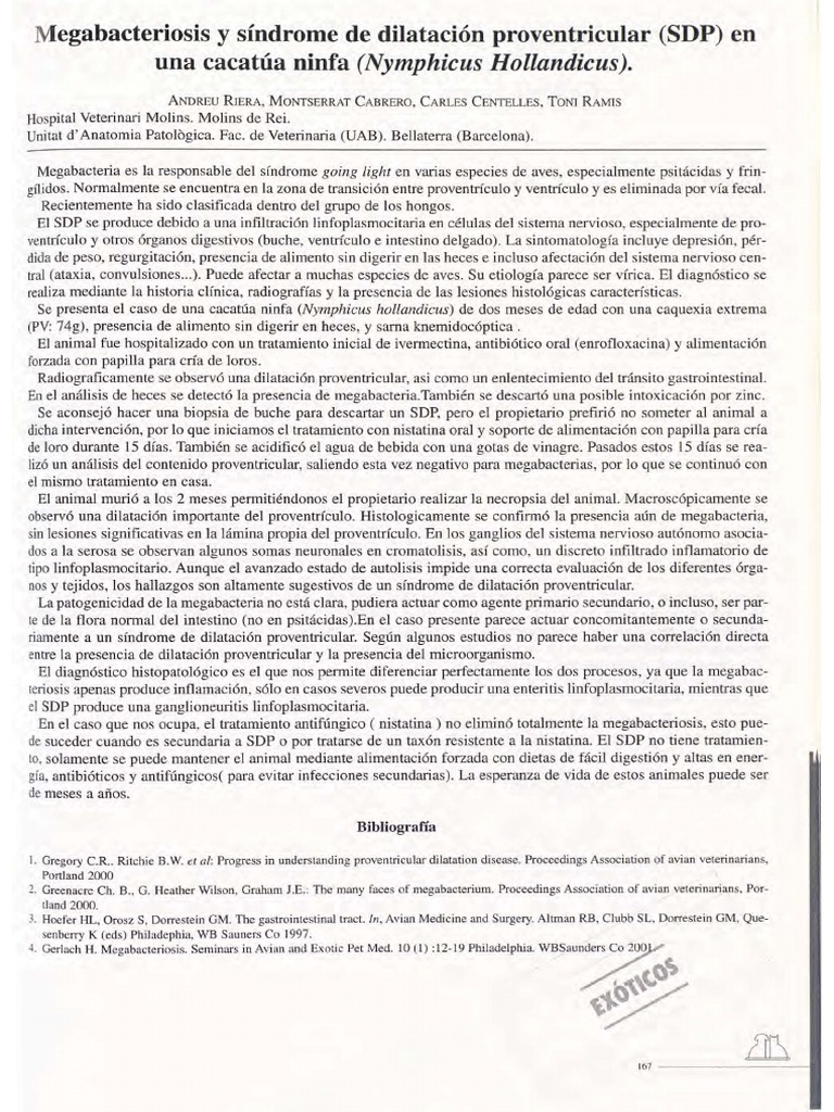 Megabacteriosis y Sindrome de Dilatacion Proventricular en Una Cacatua ...