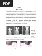 La Línea de Fulcro | PDF | Dentadura postiza | Naturaleza