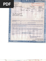 Premium Texas Driver License Template | PDF