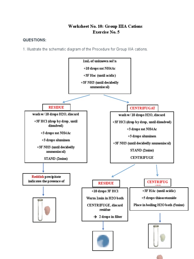 Worksheet No. 10 Group IIIA Cations | PDF | Analytical Chemistry ...