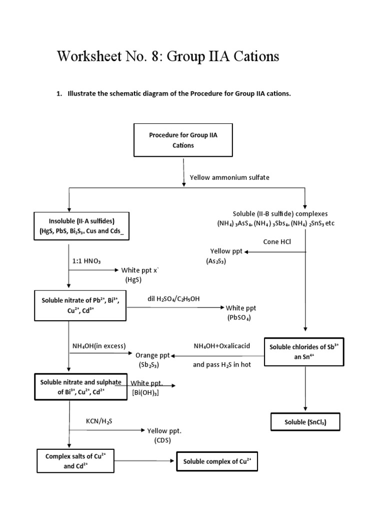 Chemistry Lab: Group IIA Cations | PDF | Hydroxide | Nitric Acid