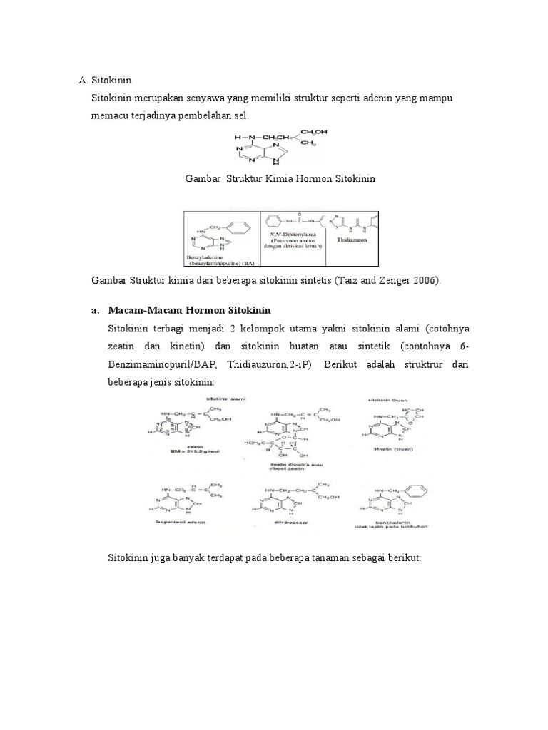 Peran Hormon Sitokinin dan Asam Absisat | PDF | Sains & Matematika
