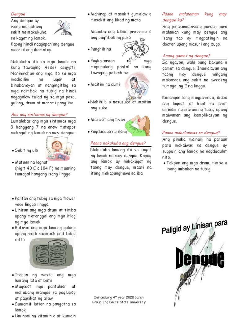 Dengue Pamphlet | PDF