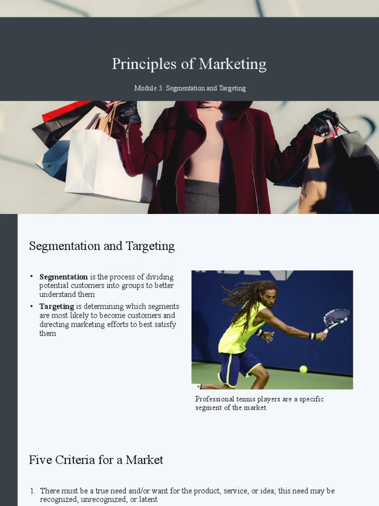 Principles of Marketing: Module 3: Segmentation and Targeting | PDF ...
