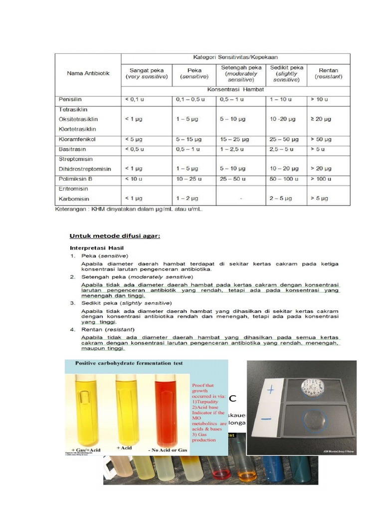 Gambar Uji Biokimia | PDF